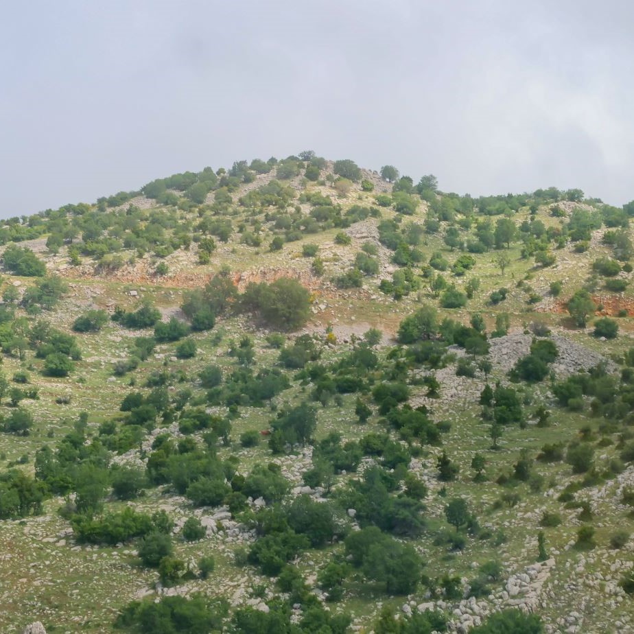 O post O: Fotos do Monte Hérmon